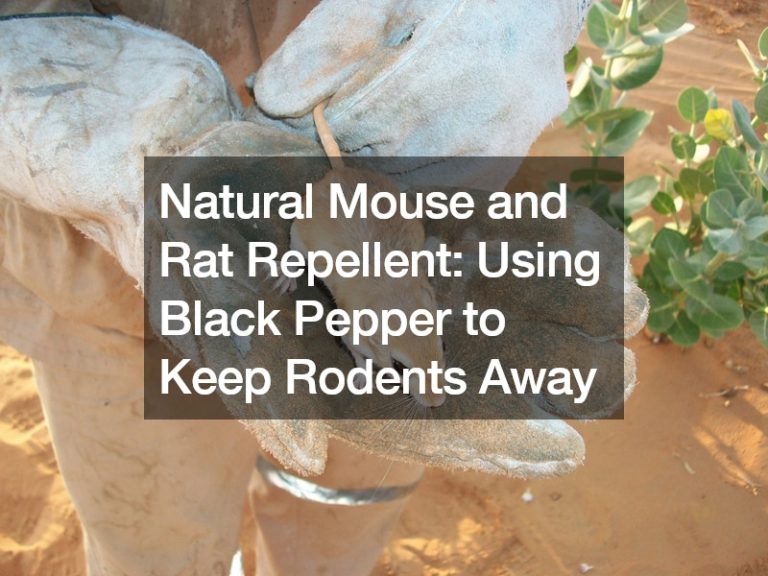 Natural Mouse and Rat Repellent Using Black Pepper to Keep Rodents Away ...
